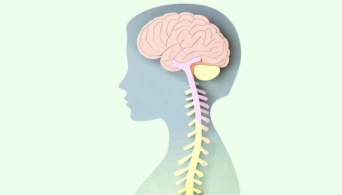 About Spinal Arteriovenous Malformation (Spinal AVM)